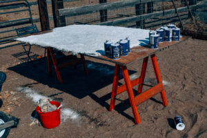 Tanning a Cow Hide - Homegrown Adventures